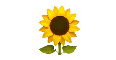 🌻 Sunflower Emoji — Meaning In Texting Copy And Paste 📚