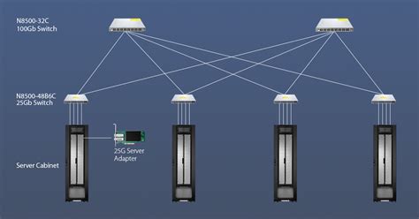 What Is A Tor Switch Faplex What Is A Tor Switch Faplex