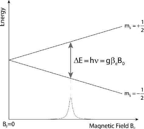 Figure 12 From Electron Spin Echo Envelope Modulation Spectroscopy Of The Photoprotective Site