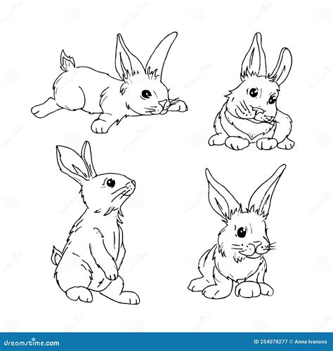 Cute Hand Draw Rabbit In Different Poses Set Of Illustrations Of Bunny Stock Vector