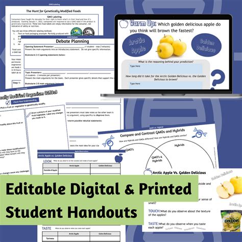 Water Pipeline Stem Challenge Engineering Design Activity — Vivify Stem