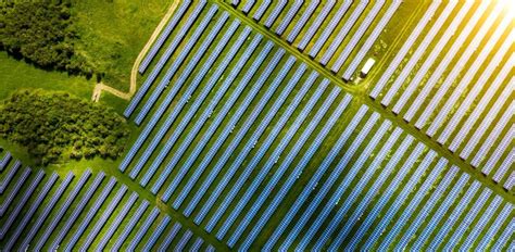 Why You Should Consider Sap Signavio In Greenfield Projects