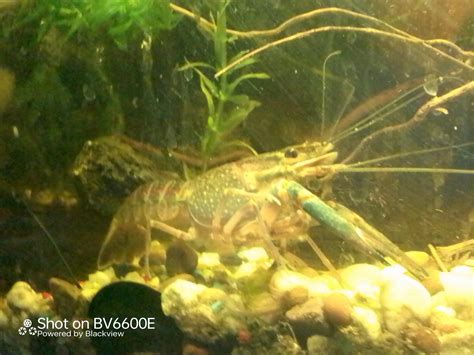 Dancing For Dinner And Posing For Pics Life Of The Itgirlcray 🐟 R