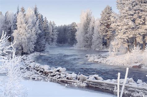 Winter River Forest Lone Wanderer Flickr