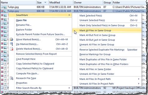 duplicate file detective 6 0 duplicate files software for pc