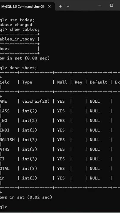 Show Databasesshow Tablesselect From Commandinsert Sql Mysql Youtube