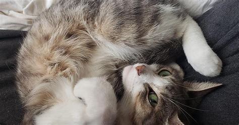 I Was Out Of State For Ten Days Nova Hasnt Wanted To Separate Since