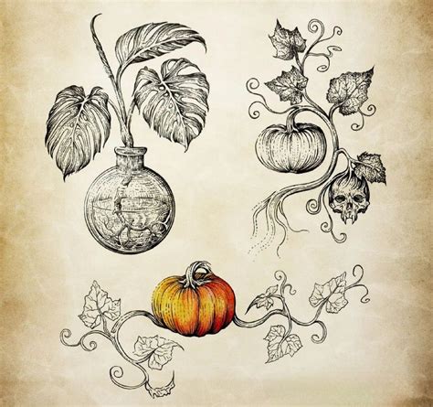 Vintage Pumpkin And Vine Tattoo Design Halloween Ink Pumpkin Plant