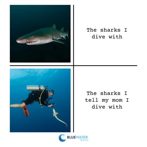 Scuba Diver Memes To New Adventures Say Yes Dreaming Of Trying It