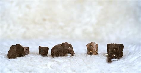 Creating A Custom Jre For Your Java Applications