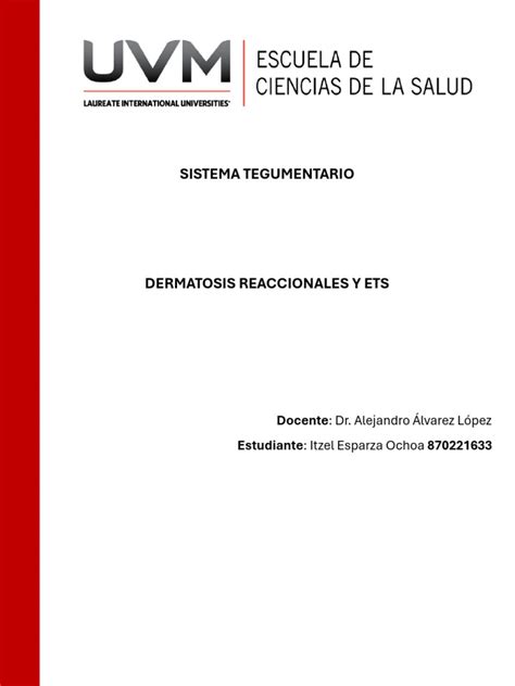 Dermatosis Reaccionales Y Ets S T P 3er Parcial Pdf Alergia