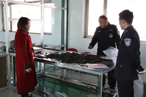 迭部县公安局开展“惠民利企大调研大走访”活动澎湃号·政务澎湃新闻 The Paper