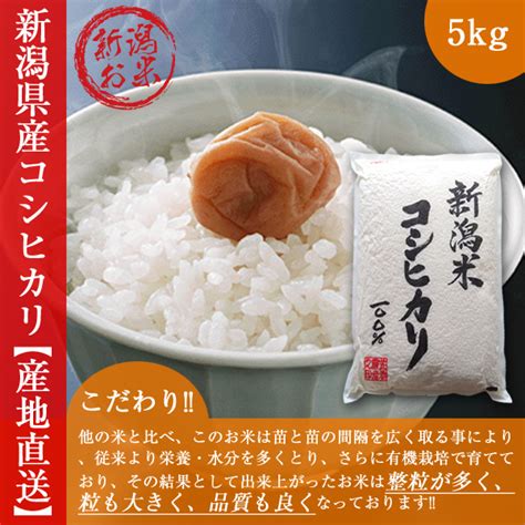 新米 新潟県産コシヒカリ5kg 新潟のおいしいお米屋さん