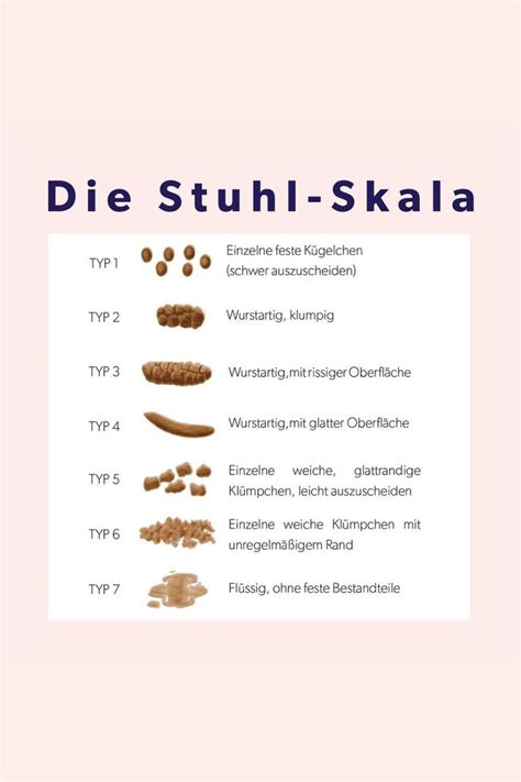 Stuhlgang Skala Was Ist Normal Gut Health Fun Facts Health
