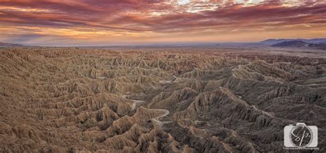 7 Things To Do In Anza Borrego Desert State Park