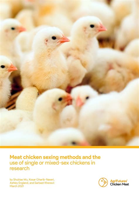 Final Report Meat Chicken Sexing Methods And The Use Of Single Or Mixed Sex Chickens In