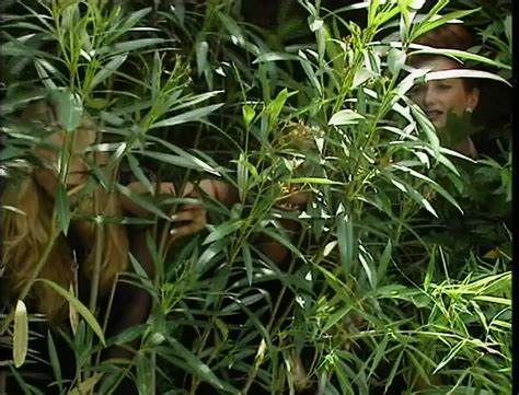 Selen Porn Videos 2025 Porn Star Sex Scenes XHamster