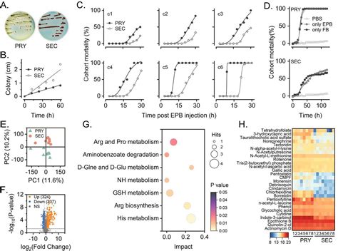 Discovery Of A New Highly Pathogenic Toxin Involved In Insect Sepsis Microbiology Spectrum
