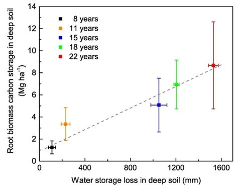 Relationship Between Root Biomass Carbon Storage And Water