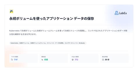永続ボリュームを使ったアプリケーション データの保存 Labex
