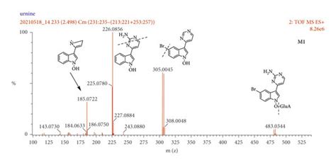 The Product Ion Spectra And Proposed Fragmentation Pathways Of M1 And