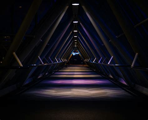 Introduction To Tensors In Pytorch 2