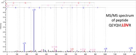 Representative Tandem Mass Spectrum For The Identification Of Download Scientific Diagram