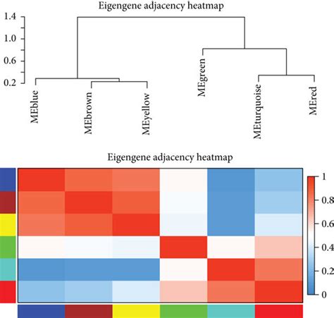 Wgcna Analysis Of Degs In The Gse64913 Dataset A Sample Clustering