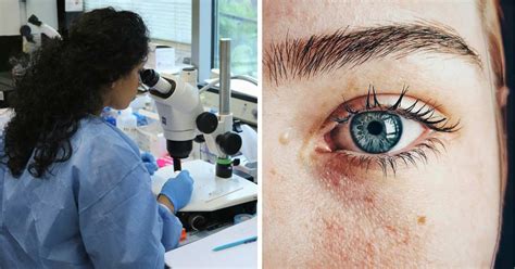 Scientists Discover A Brand New Color ‘olo During Retina Simulation