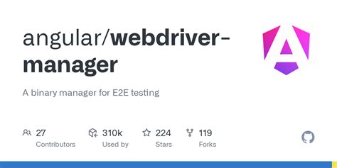 Issues · Angularwebdriver Manager · Github