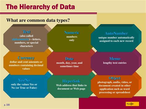 ppt chapter 9 database management powerpoint presentation free