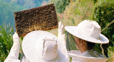 Women For Bees ⋅ Guerlain