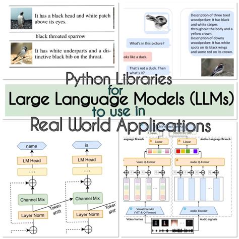 Python Libraries For Llms Dr Sunil Chawla