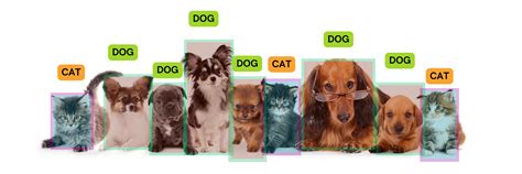 Hyperparameter Tuning A Yolov8 Model With Amazon Sagemaker Bays