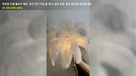 북유럽 깃털 플로어 램프 송진 바디 거실 홈 장식 실내 조명 침실 침대 옆 테이블 램프 Youtube