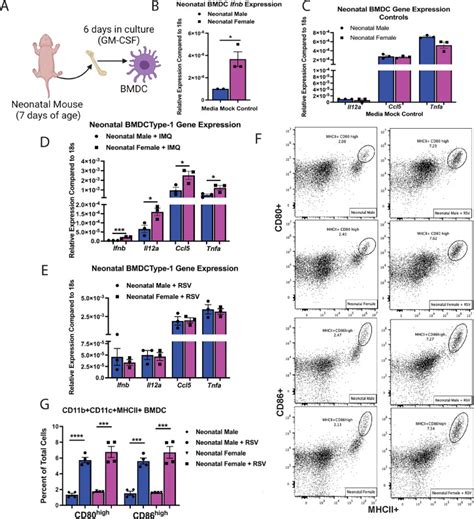 Sex Associated Early Life Viral Innate Immune Response Is