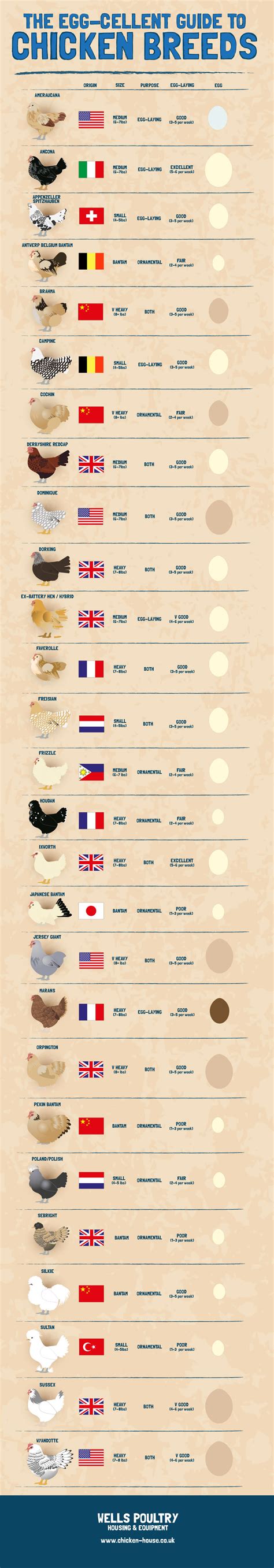Chicken Breed Chart Tbn Ranch Chicken Keeping Resources