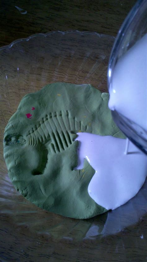 Munchkin And Bean Making Fossils Munchkin And Bean Making Fossils