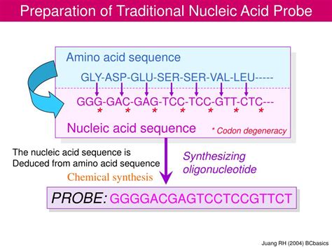 Nucleic Acid Sequencing Ppt At Evelyn Morgan Blog