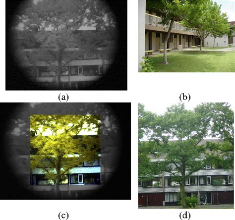 Figure 5 From Colorizing Grayscale Intensified Nightvision Images