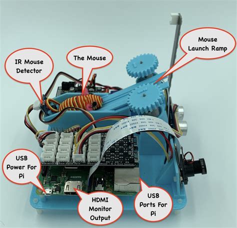 Mouseair Using Ai On The Raspberry Pi To Entertain Your Cat