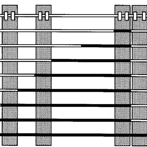 Schematic Representation Of Chimeras And Wild Type Enzymes The Open