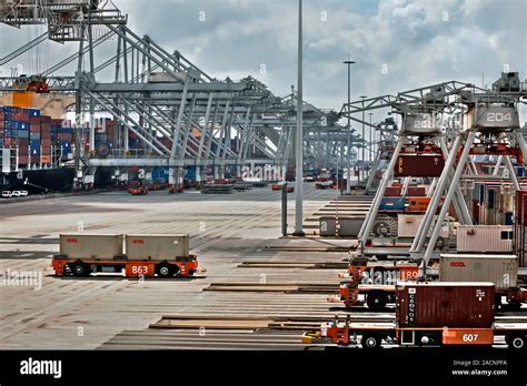 Port Of Le Rotterdam Europe Container Terminal System At The Port Of Rotterdam Netherlands