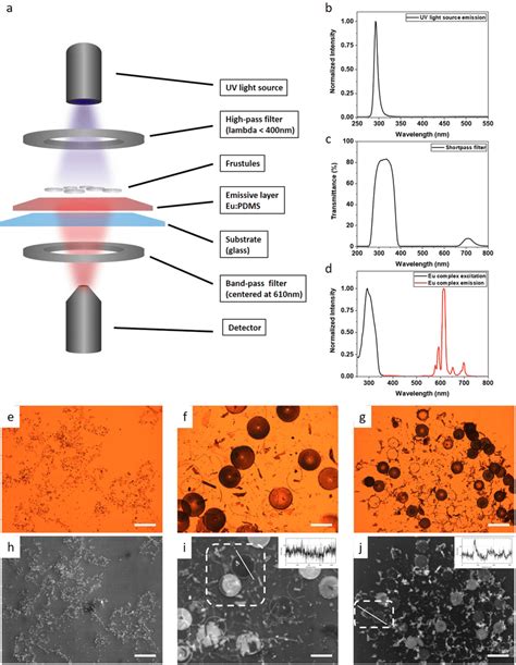 A Schematic Representation Of The Emissive Layer Experimental Setup Download Scientific