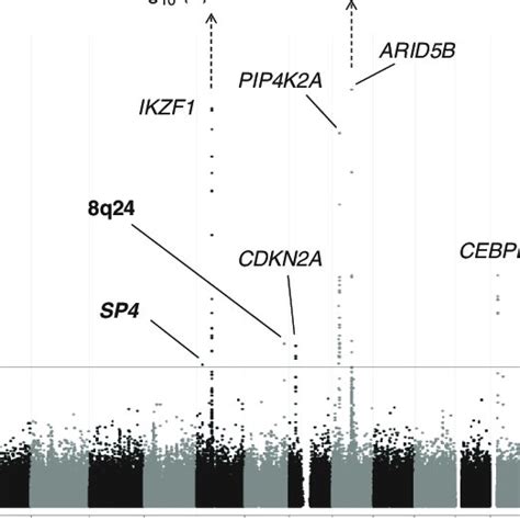 Manhattan Plot Of P Values Resulting From Meta Analysis Of Three Download Scientific Diagram