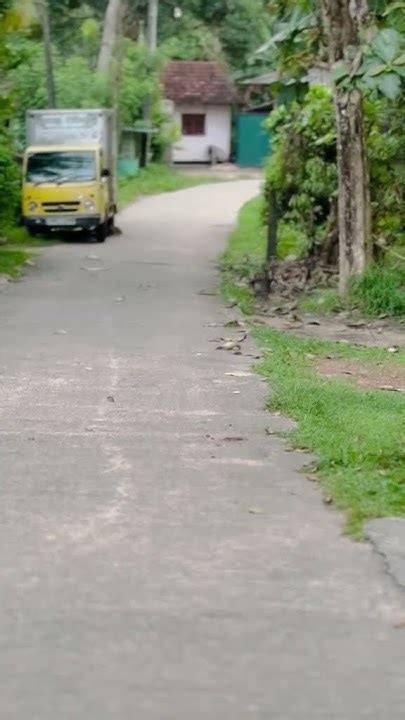 කොහොමද සද්දෙ 🥵 ️ Ytshort Viral Trending Youtube