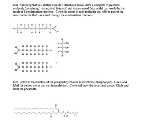 Solved 2a Assuming That You Started With The 4 Structures