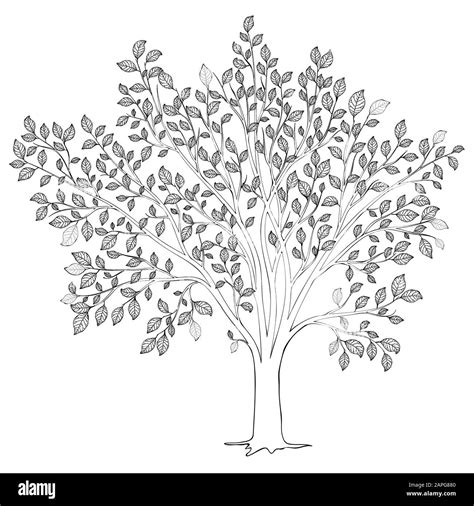 Tree With Leaves Silhouette Vector Coloring Book Page For Adult Stock Vector Image Art Alamy