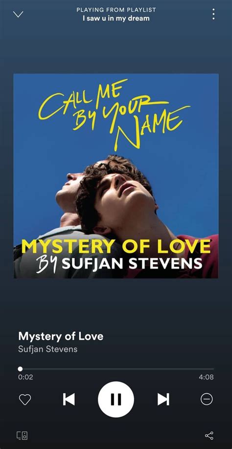 Call Me By Your Name Mystery Of Love Name Songs Sufjan Stevens Names