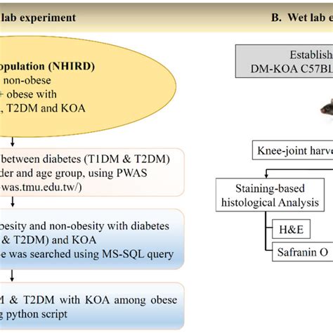 Schematic Diagram Of Dry And Wet Lab Experiments Investigating The